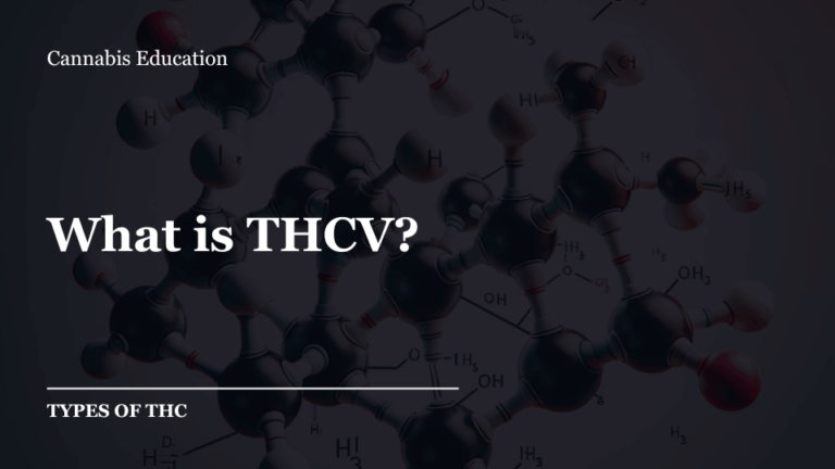 Exploring the Types of THC - Boston Hemp