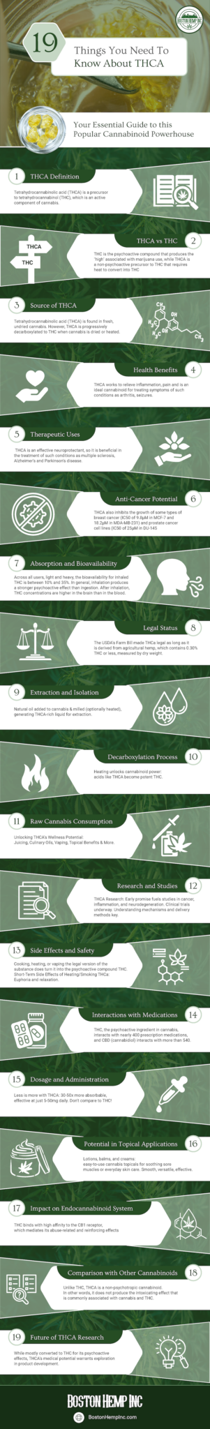 19 Things Your Need to Know About THCA Infographic - Boston Hemp