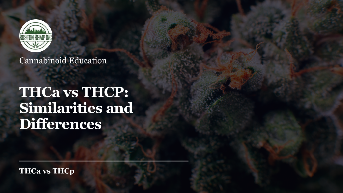 THCa vs THCp: Differences & Effects Explained