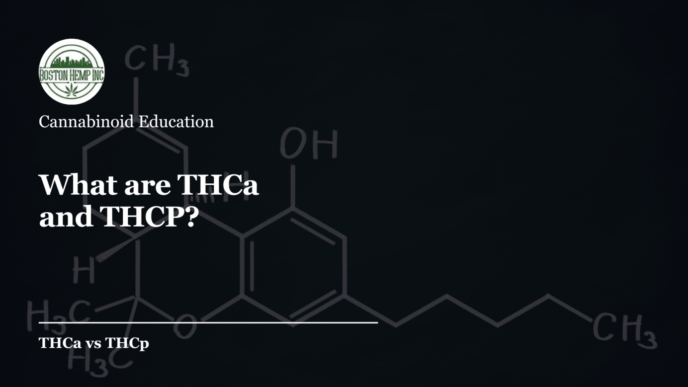 THCa vs THCp: Differences & Effects Explained