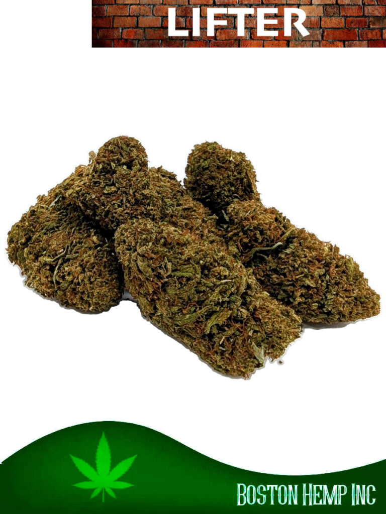 Lifter Hemp Flower - Multiple Sizes Available - Boston Hemp