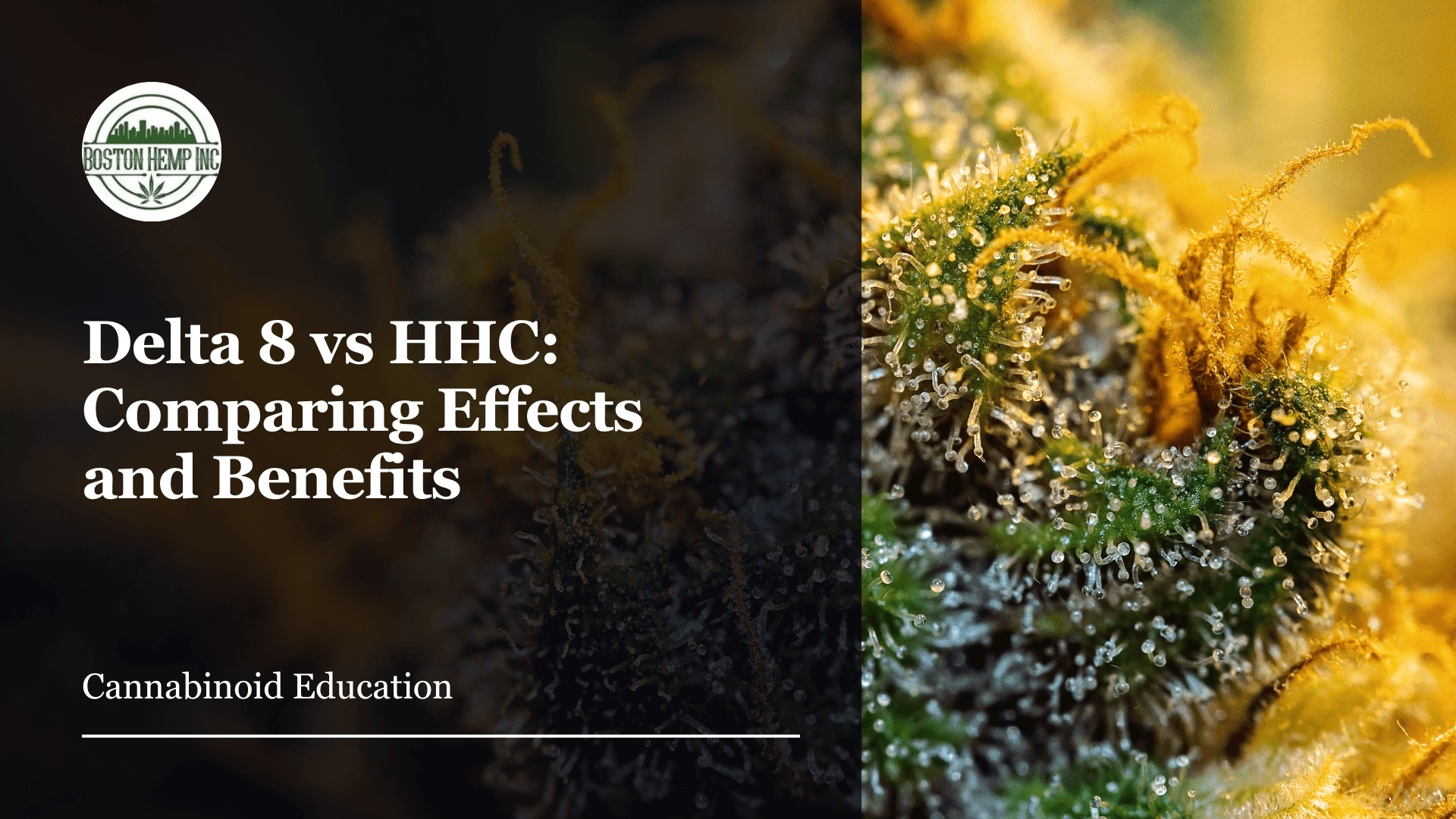 Delta 8 vs HHC: Effects, Benefits & Key Differences