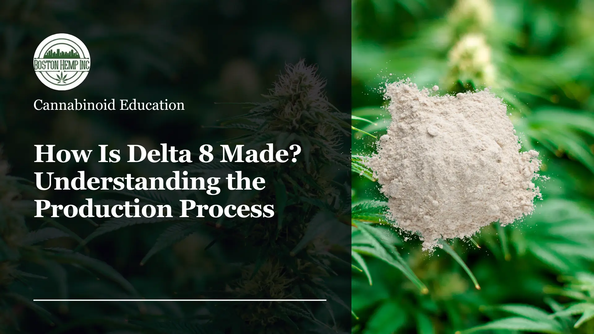 How Is Delta 8 Made? Understanding the Production Process - Boston Hemp
