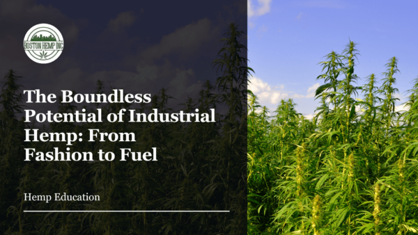 The Boundless Potential of Industrial Hemp