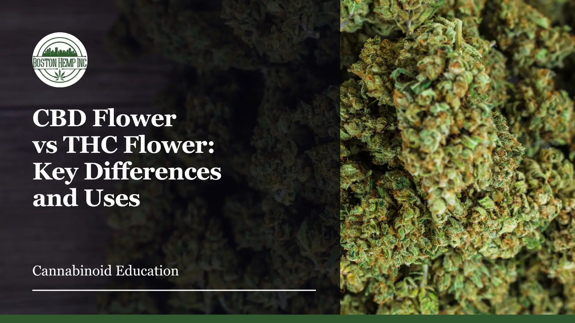 CBD Flower vs THC Flower: Key Differences and Uses - Boston Hemp