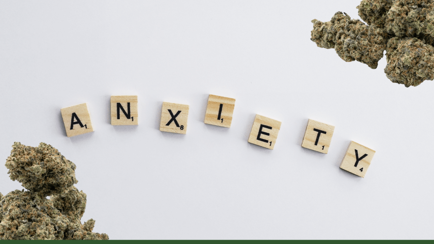 How THCA Flower Provides Natural Relief From Anxiety - Boston Hemp